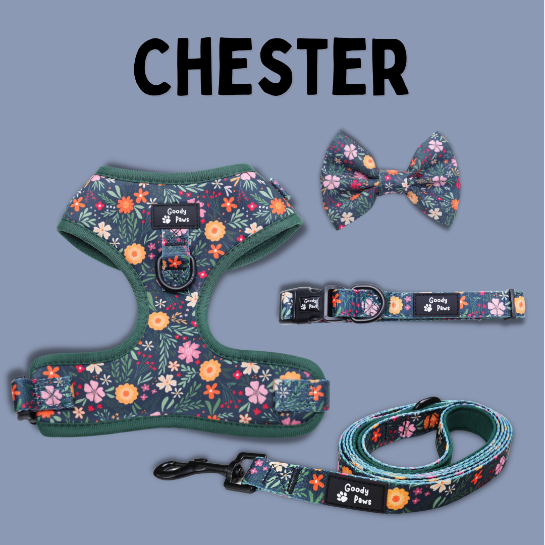 Chester Collection – Goody Paws